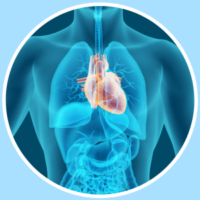 Tampa Diagnostic Imaging & CT Scan | Life Guard Imaging